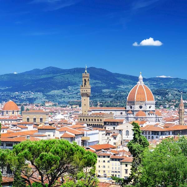 Florence half day Skip the Line Guided Tour - City Wonders