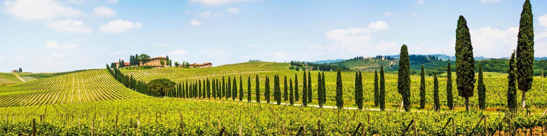 Tuscany Day Trip & Wine Tasting Tour from Rome - City Wonders