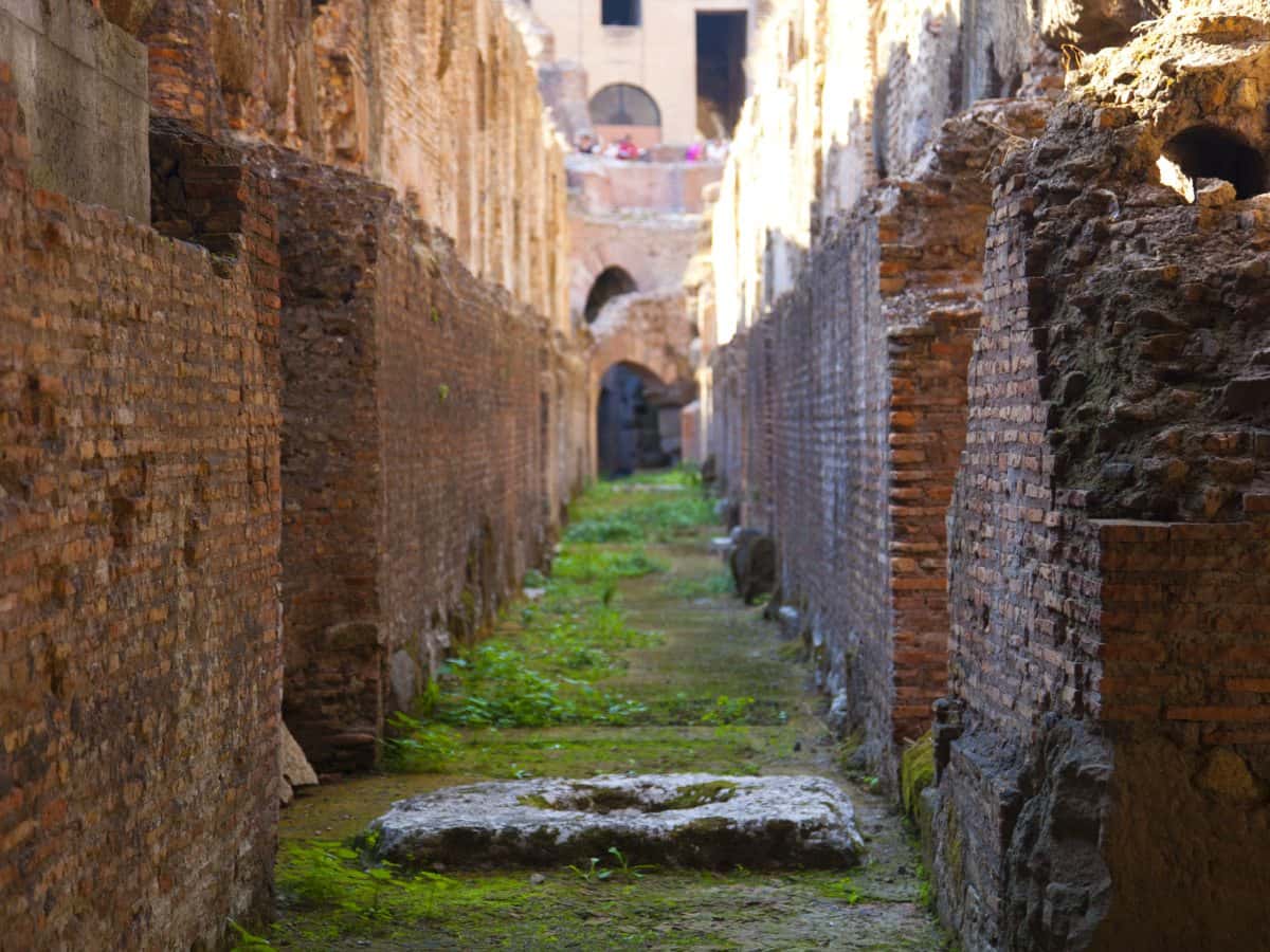 Rome Colosseum Tour with Underground Entrance - City Wonders