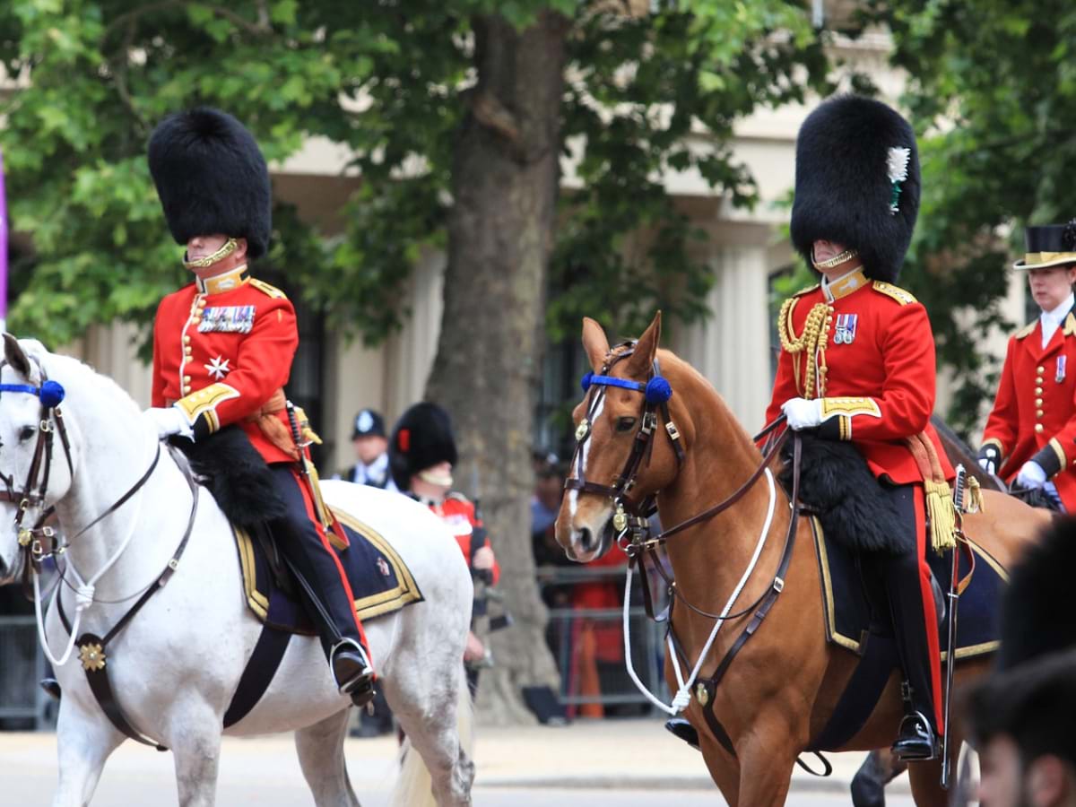 Changing of The Guard Walking Tour - Expert Guide - City Wonders