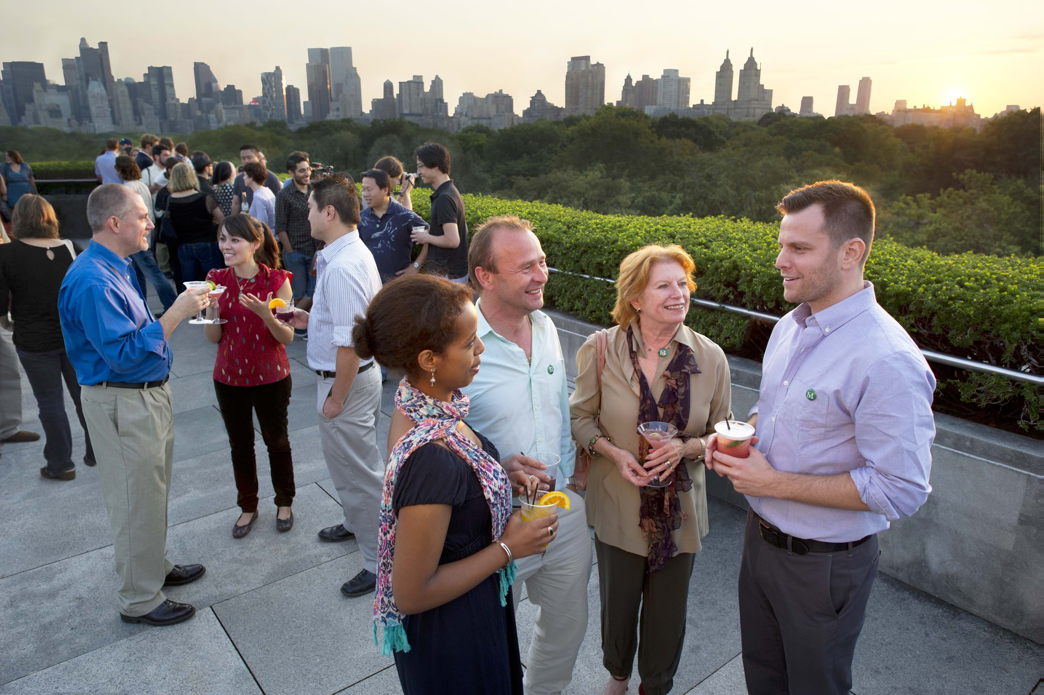 Metropolitan Museum Highlights Tour with Skip-the-Line Access & Rooftop ...