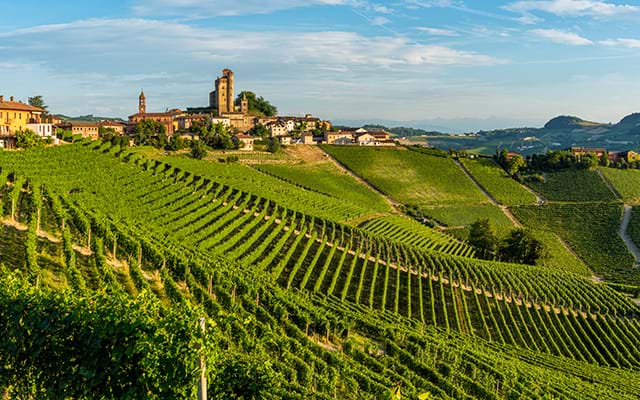 Langhe Wine Tour from Milan | Semi-Private Day Trip with Barolo Tasting ...